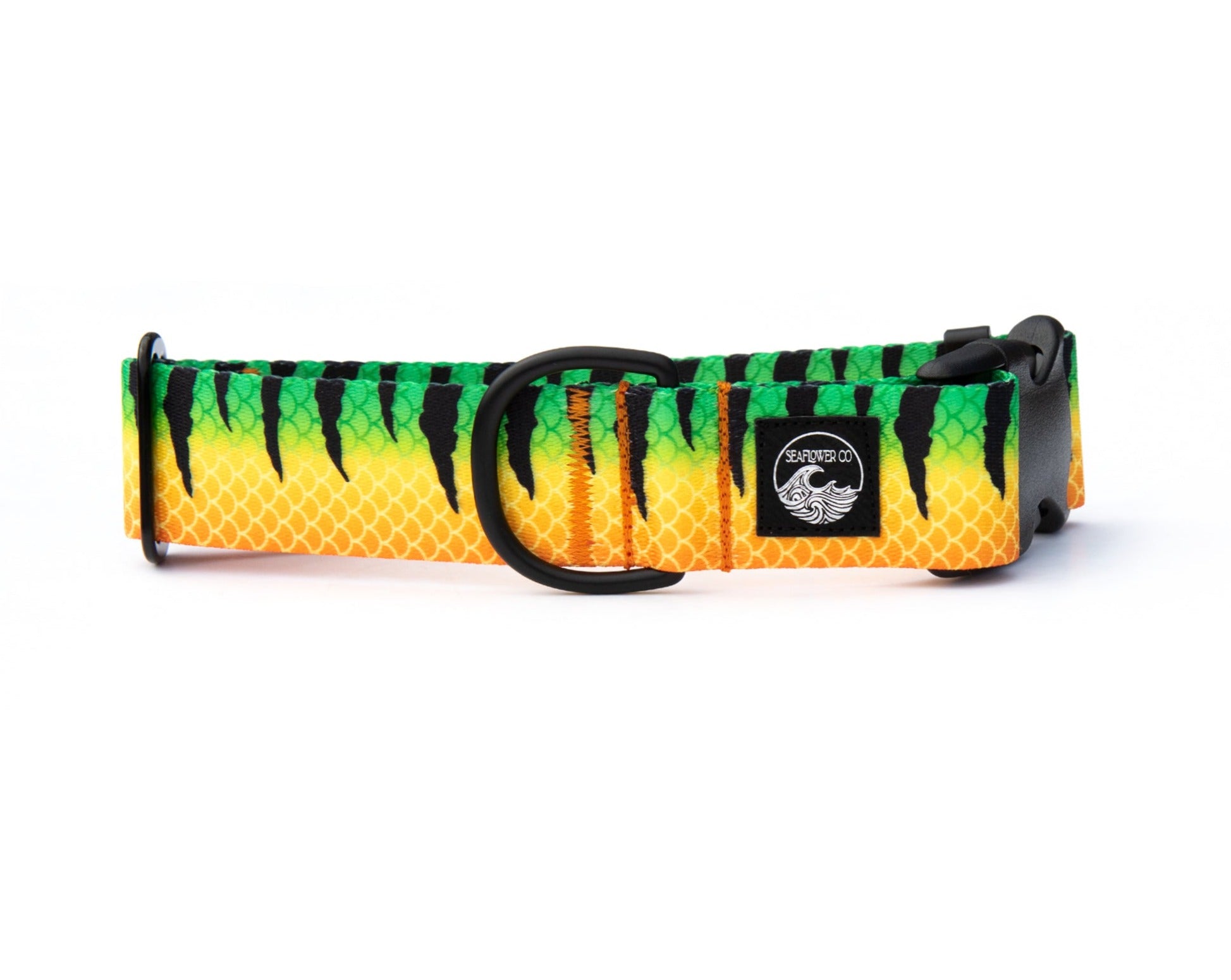 Fire Tiger Dog Collar | Stylish & Durable Pet Gear – SeaFlower Company