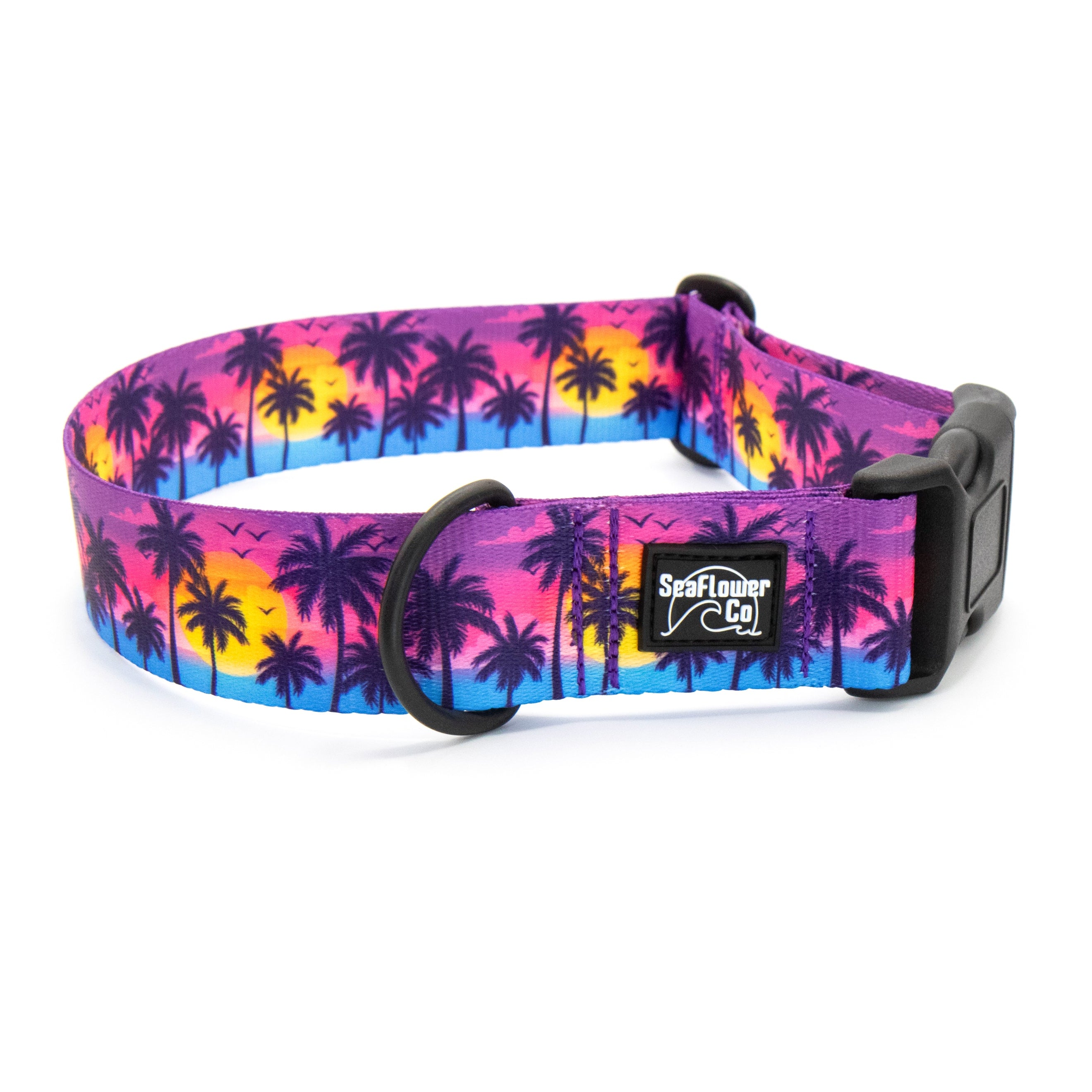 Sunset Beach Dog Collar | Stylish & Durable Pet Gear – SeaFlower Company